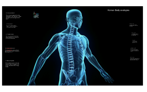 Human Body analogies by Braeden Duwa on Prezi