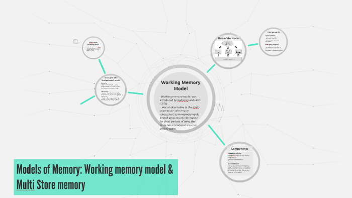 Models of Memory: Working memory model & Multi Store memory by Natalie ...