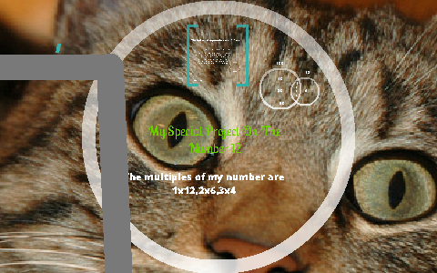 My Special Number Project Number 12 by Jrock Green on Prezi