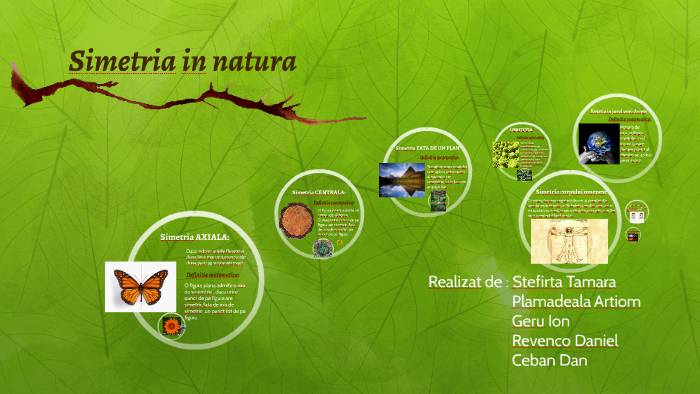 Simetria in natura by Tamara Stefirta on Prezi