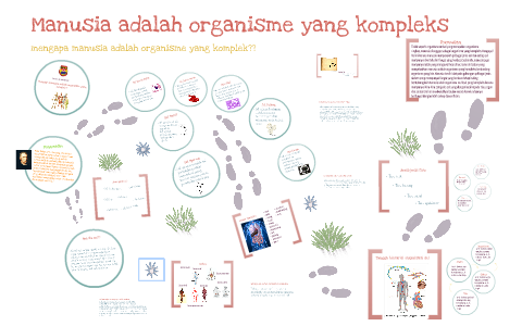 Manusia merupakan organisma yang kompleks by Athirah As'ari on Prezi