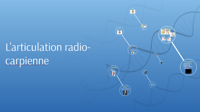 L'articulation radio-carpienne by Taylor Leveille on Prezi