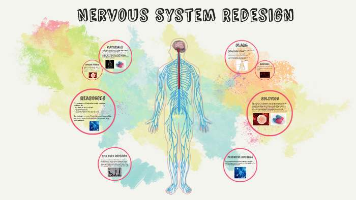 Nervous System Redesign by Hannah Juvida on Prezi