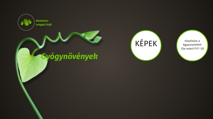 Gyógynövények by Zsófia Lengyel on Prezi