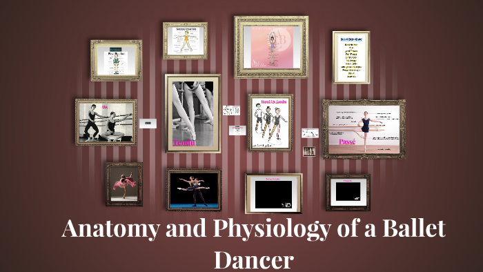 Anatomy and Physiology of a Ballet Dancer by Vincent Andaloro on Prezi