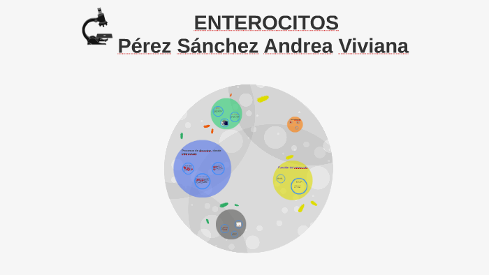 ENTEROCITOS by fisica litotripcia on Prezi