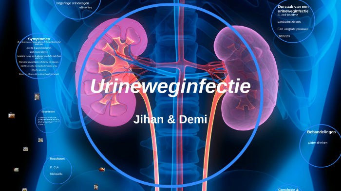 Presentatie urineweginfectie by Pascal van den Beemd on Prezi