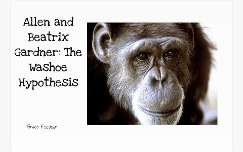 Allen and Beatrix Gardner: Washoe Hypothesis by Grace Escobar on Prezi