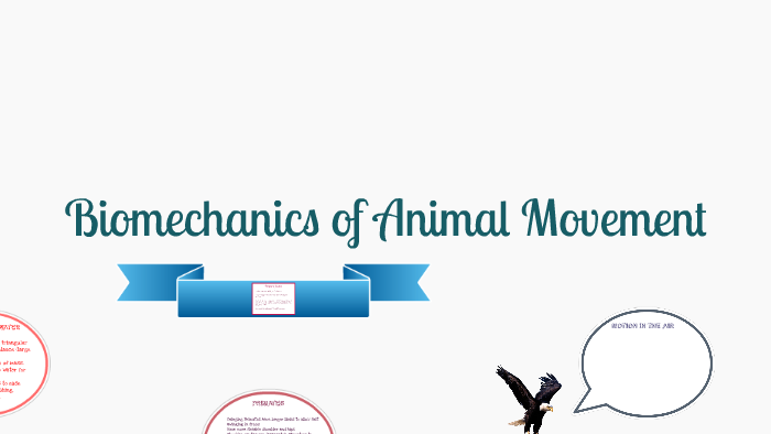 Biomechanics of Animal Movement by Helen Norris on Prezi