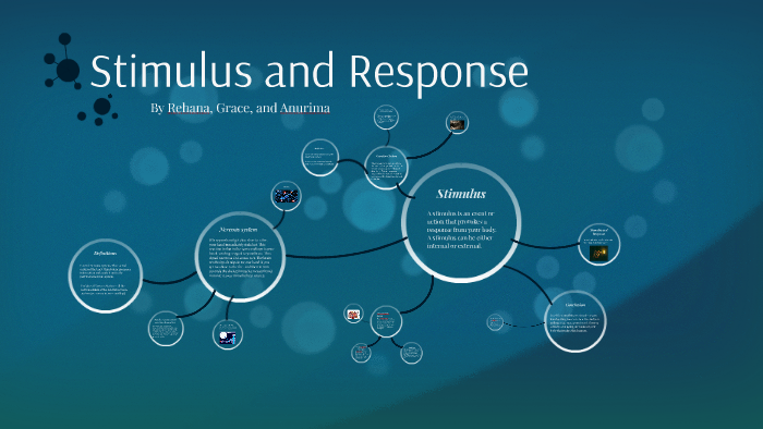 Stimulus and Response by Grace Penguin on Prezi