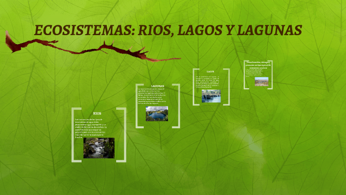 ECOSISTEMAS: RIOS, LAGOS Y LAGUNAS by karen reyes on Prezi