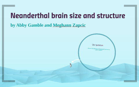 Neanderthal brain size and structure by Meghann Zapcic on Prezi