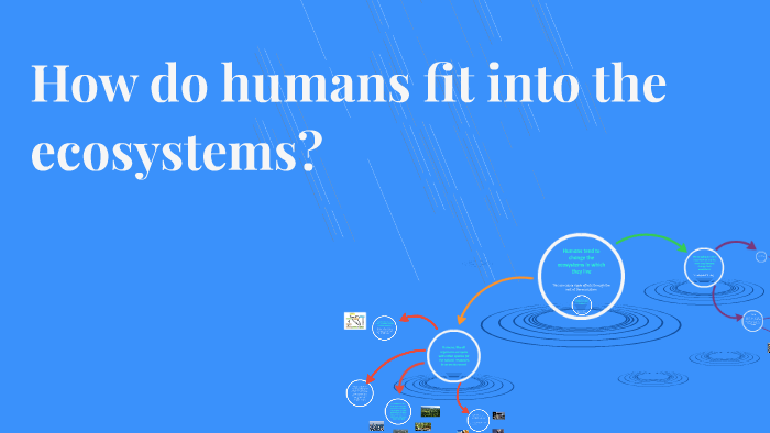 How do humans fit into the ecosystems? by Emily Brown on Prezi