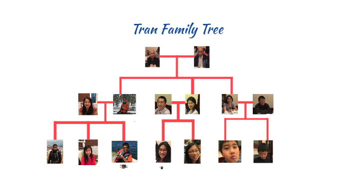 Tran Family Tree by Matthew Tran on Prezi