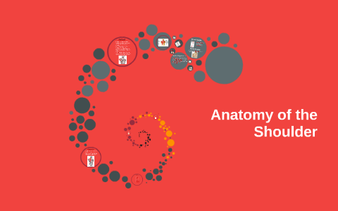 Anatomy of the Shoulder by Jessica Kroeckel on Prezi