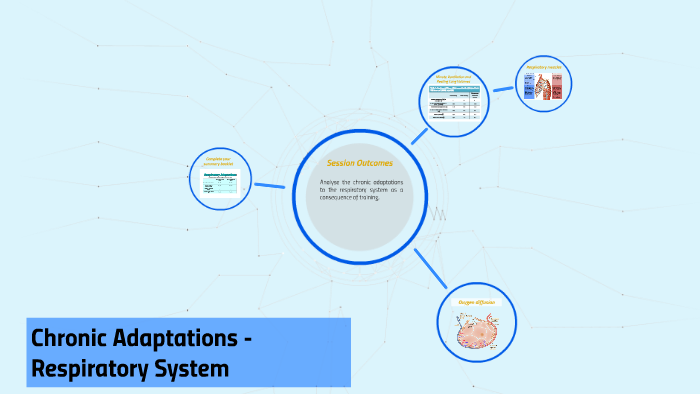 Chronic Adaptations - Respiratory System by Helen Norris on Prezi