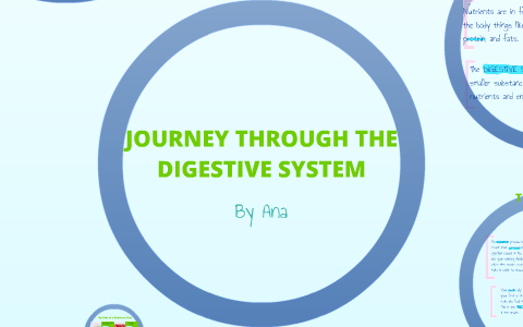 Journey through the Digestive System by Ana Fuentes on Prezi