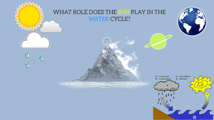 WHAT ROLE DOES THE SUN PLAY IN THE WATER CYCLE? by Dante' Gaines on Prezi