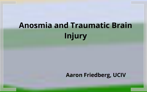 Anosmia and Traumatic Brain Injury by Bjorn Wise on Prezi