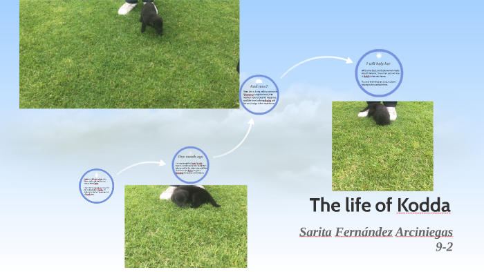 The life of Kodda by Sara Fernández on Prezi