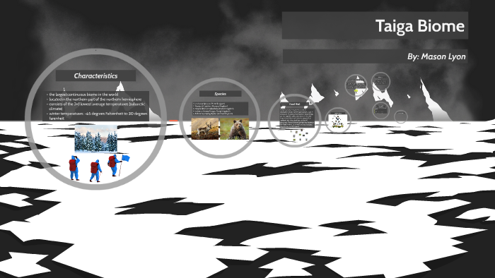 Taiga Biome by mason lyon on Prezi