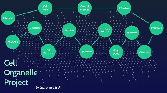 Cell organelle project by Jack Levy on Prezi