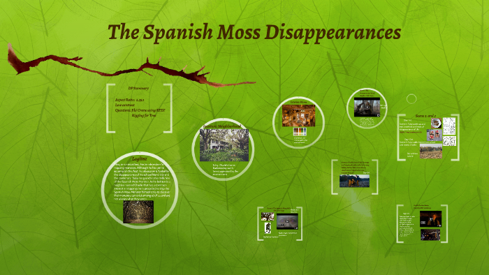 The Spanish Moss Disappearances by aileen Carpenter on Prezi
