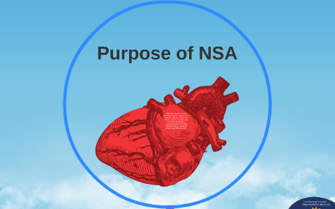 NSA Organizational Structure by John Steytler on Prezi