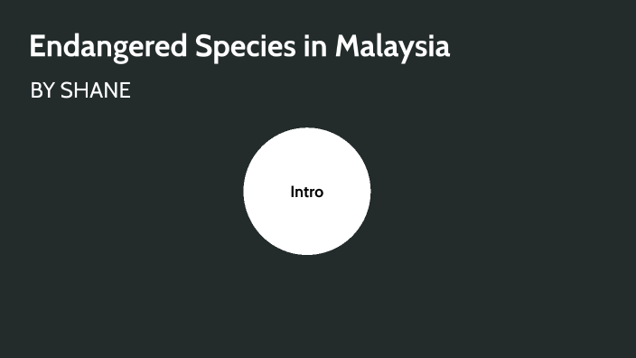 Endangered Species by Shane Has Playz on Prezi