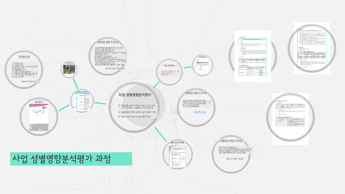 사업 성별영향분석평가 과정 by misuk kim