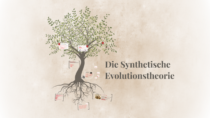 Die Synthetische Evolutionstheorie by Lucie Ulrich on Prezi