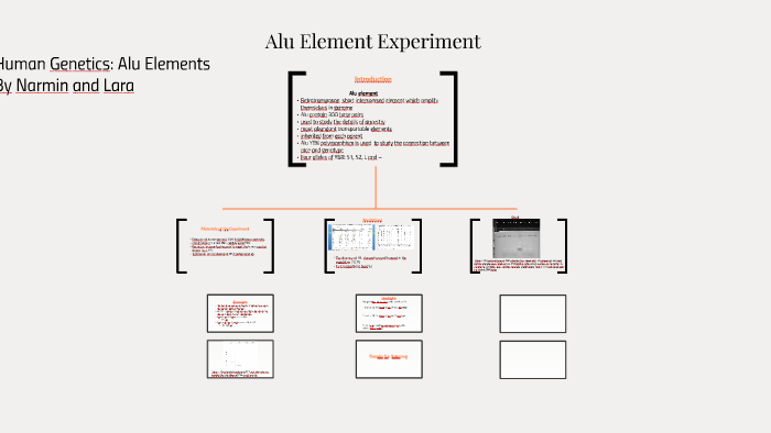 Human Genetics: Alu Elements by Narmin Ghalib on Prezi