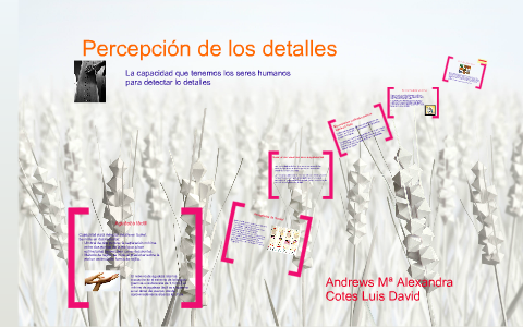 Percepción de los detalles by Maria Cristina Cantillo on Prezi