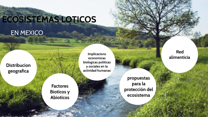 ecosistema lotico by Hector 89 on Prezi