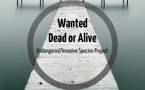 Endangered/Invasive Species by Peter Lloyd on Prezi