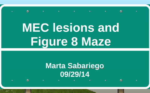 MEC lesions and Figure 8 Maze by Marta Sabariego Almazán on Prezi
