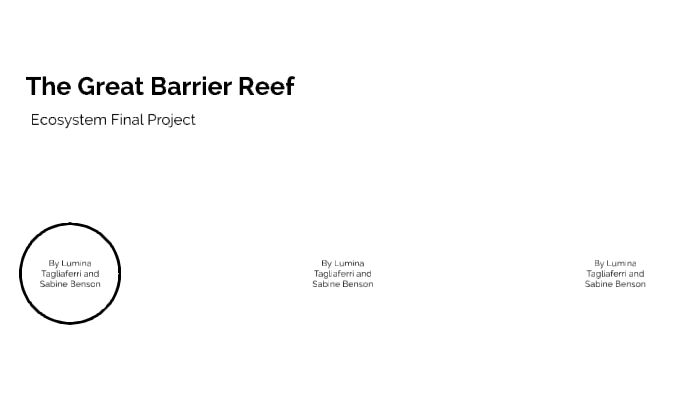 The Great Barrier Reef Final Ecosystem Project by Sabine Benson on Prezi