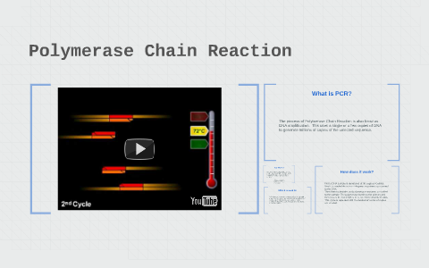 Polymerase Chain Reaction by Barrett Weihe on Prezi
