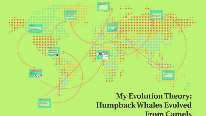 My Evolution Theory: Humpback Whales Evolved From Camels by Eli Davis ...
