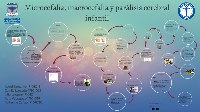 Microcefalia, macrocefalia y parálisis cerebral infantil by astrid ...