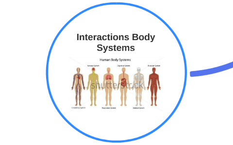 Interactions Body Systems by Green Ladder on Prezi