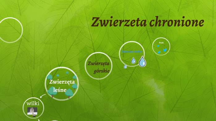 Zwierzęta chronione by Maria Janczyk - Kukieła on Prezi