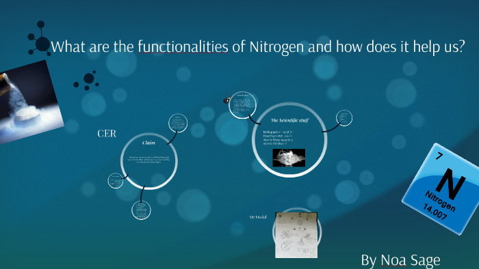 What are the functionalities of Nitrogen and how does it hel by Noa ...