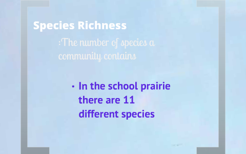SPECIES DIVERSITY VS SPECIES RICHNESS by alyssakayla currentgerardy on ...