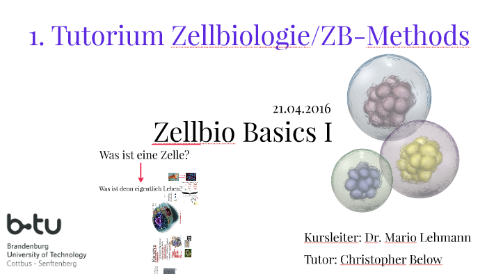 1. Tutorium Zellbiologie/ZB-Methods by Christopher Below on Prezi