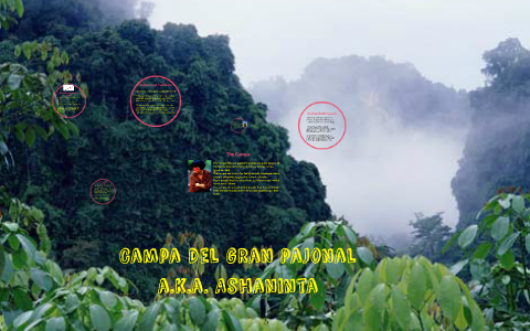 Campa del gran pajonal by andre Urdininea on Prezi