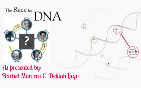 The Race for the Double Helix by on Prezi