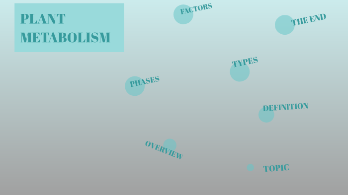 My work by THURAYYAH OMAR on Prezi