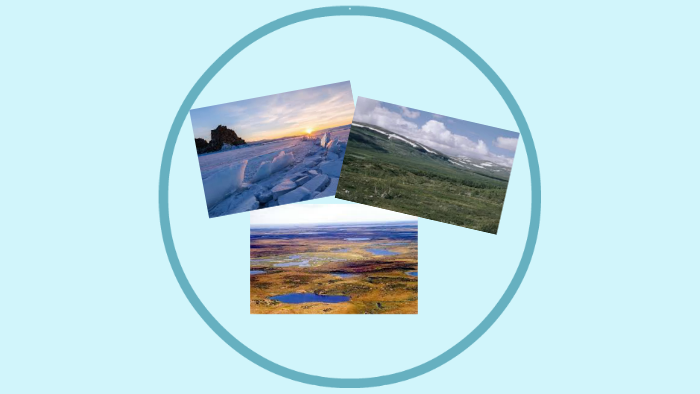 Polare und Subpolare Zone by Marc Rüdell on Prezi