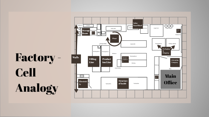 Cell Factory Analogy by Sophie p on Prezi